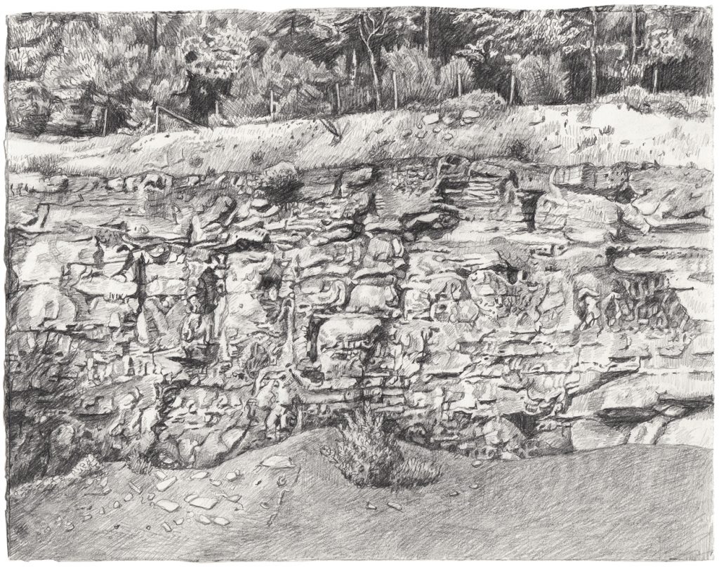 Amy Talluto: Moments of Light in the Forest – Art Spiel